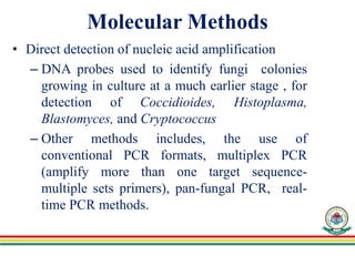 12. Fungal identification methods-New.ppt