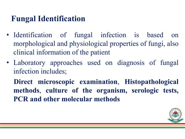 12. Fungal identification methods-New.ppt