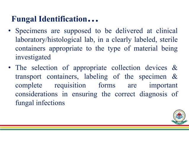 12. Fungal identification methods-New.ppt
