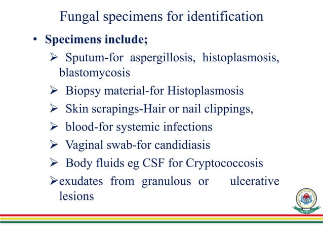 12. Fungal identification methods-New.ppt