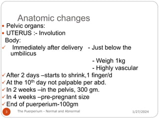 12.1.Puerperium-1.pptx