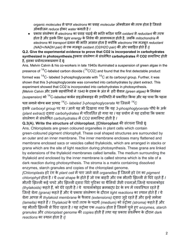 Some Q & A Photosynthesis | IGNOU Biochemistry CHE-09 (in English /Hinglish) | PDF