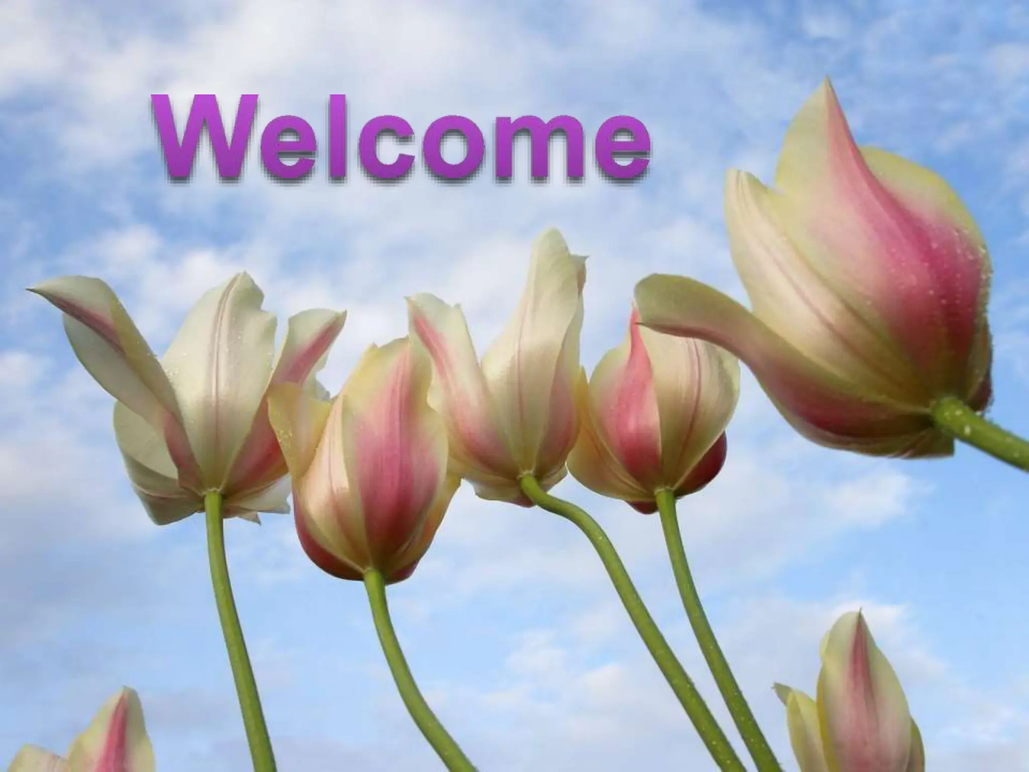 12. Pollination, fertilization ,Fruit set and fruit development.pptx