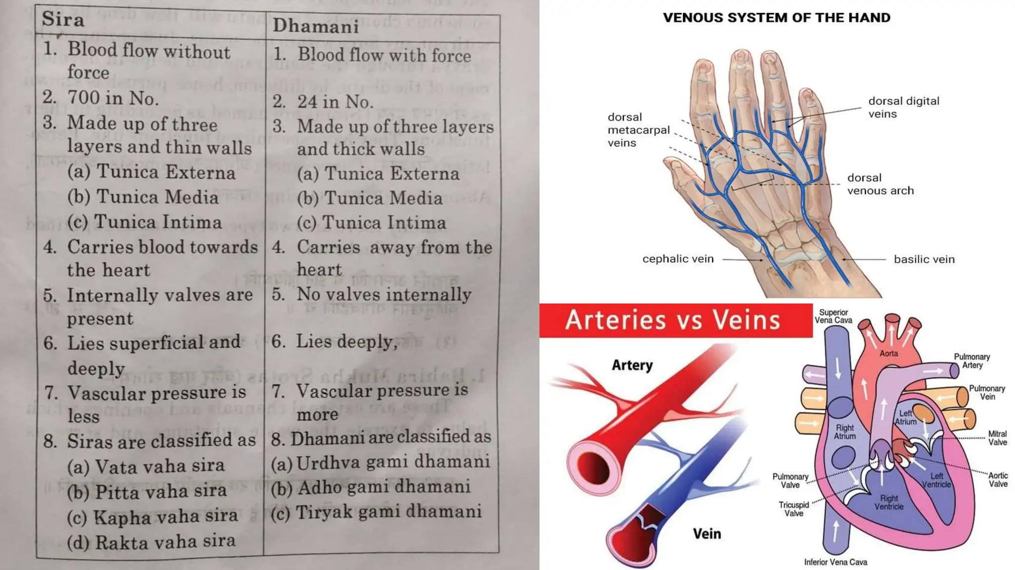 Dhamani sharira OF SHAREERA RACHANA BY DR AJITH KUMAR | PPTX