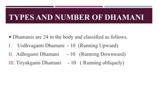 Dhamani sharira OF SHAREERA RACHANA BY DR AJITH KUMAR | PPTX