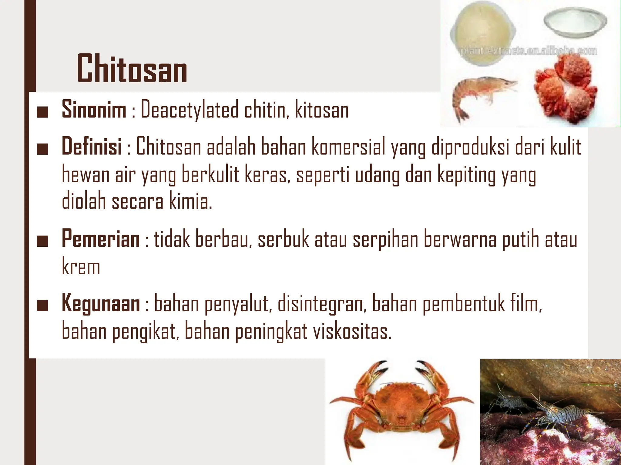 12. simplisia hewani dan kegunaannya dalam kehidupan sehari-hari .pdf