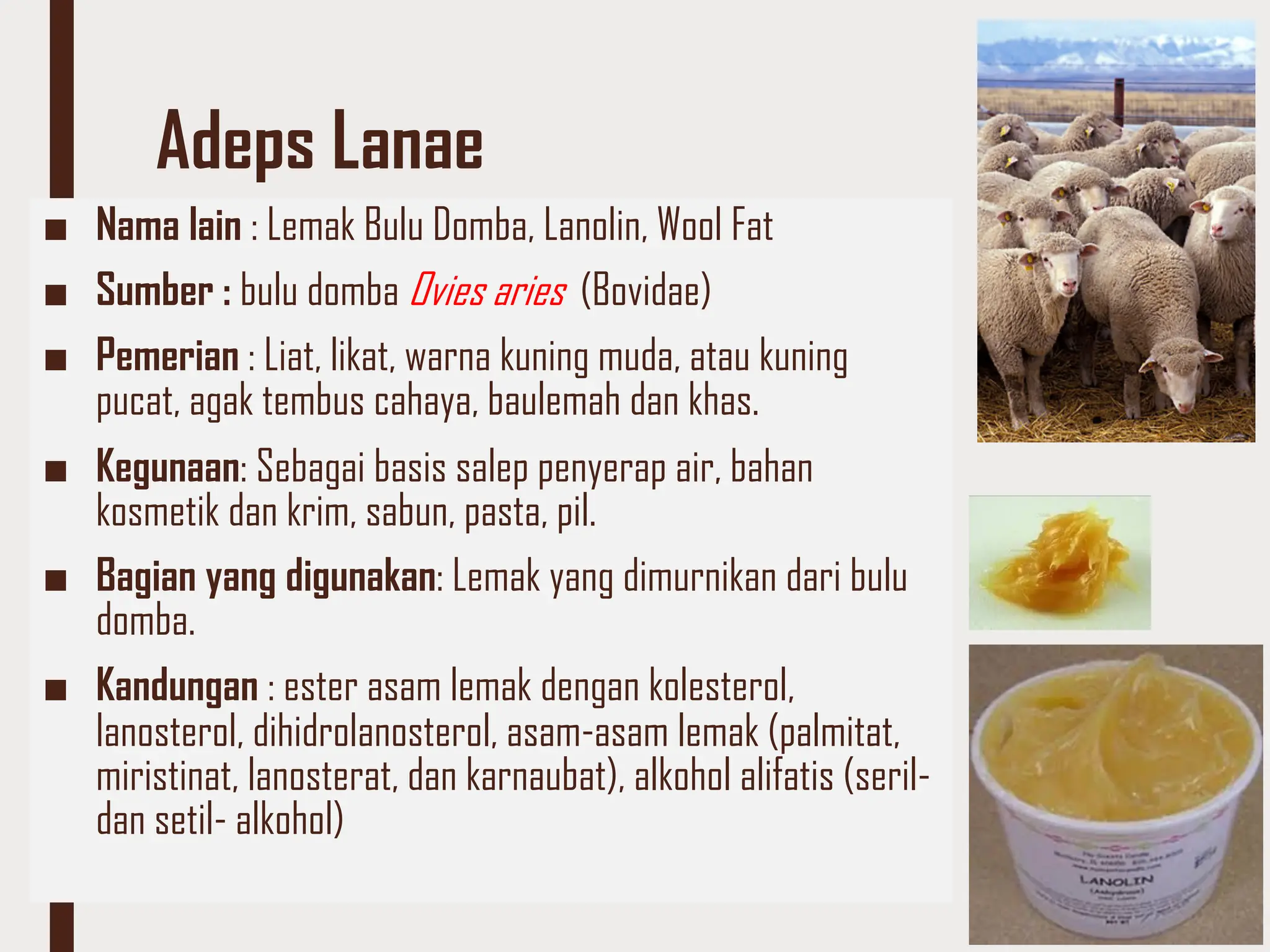 12. simplisia hewani dan kegunaannya dalam kehidupan sehari-hari .pdf