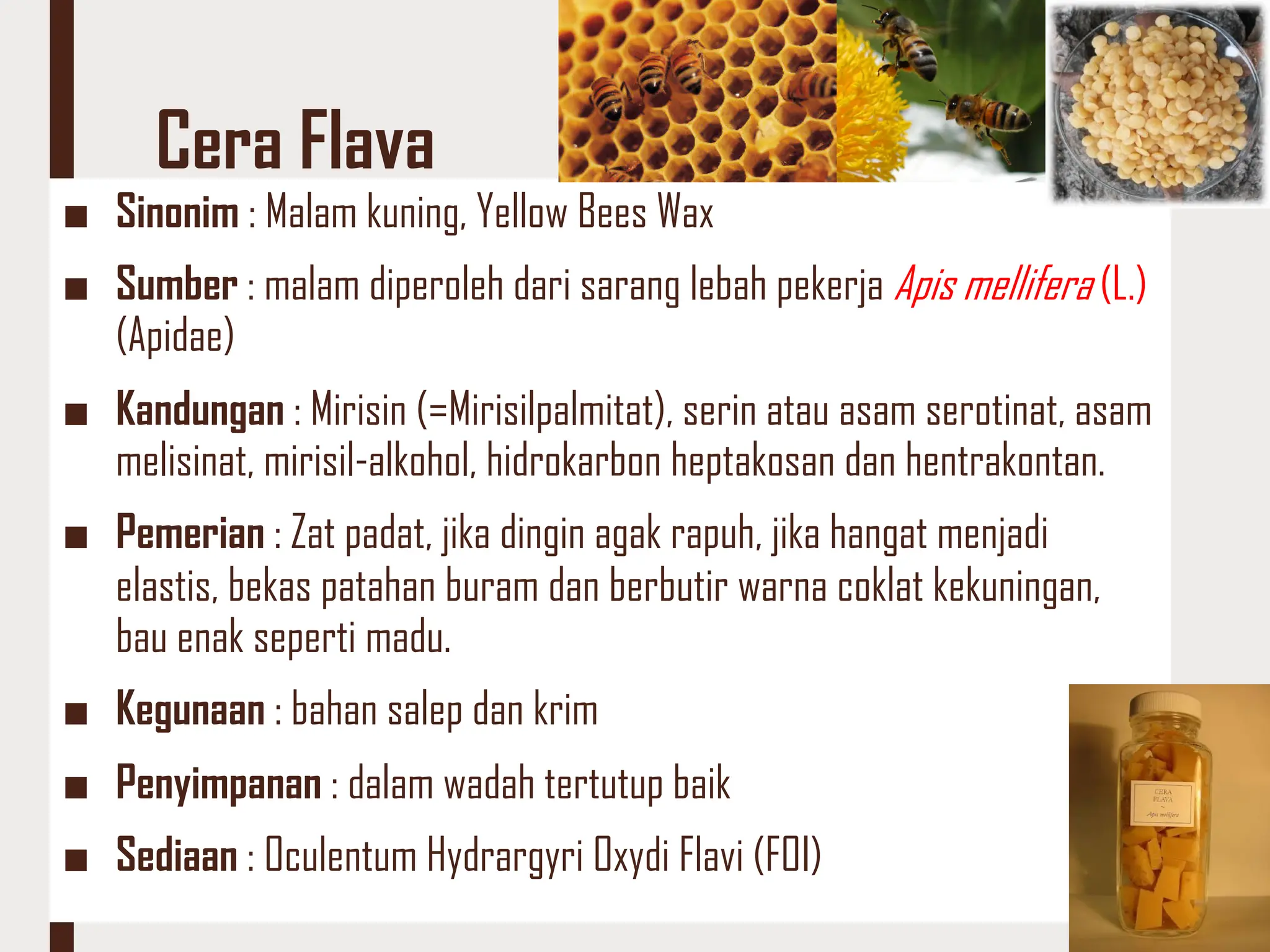 12. simplisia hewani dan kegunaannya dalam kehidupan sehari-hari .pdf