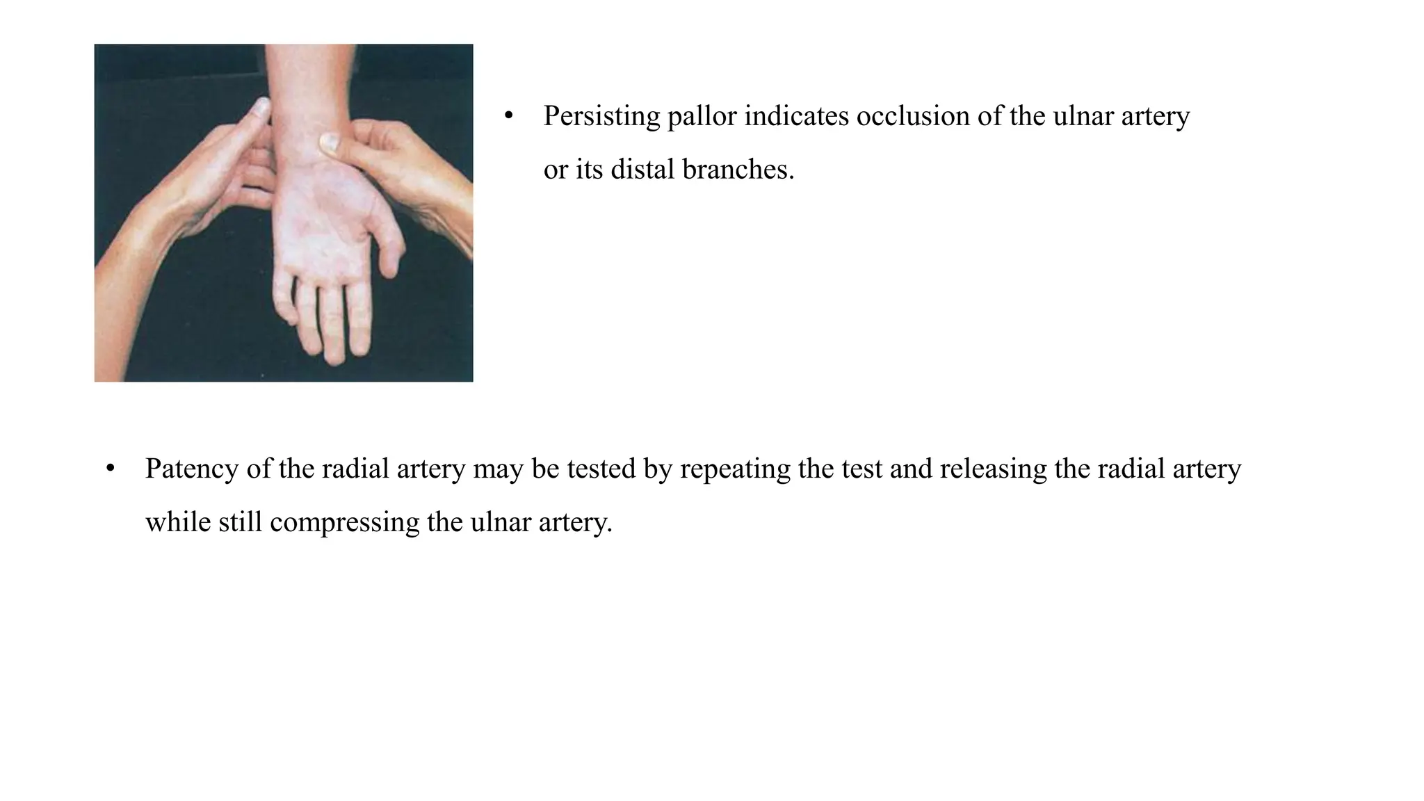 12. Peripheral Vascular System-bates.pptx