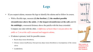 12. Peripheral Vascular System-bates.pptx