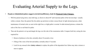 12. Peripheral Vascular System-bates.pptx