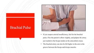 12. Peripheral Vascular System-bates.pptx