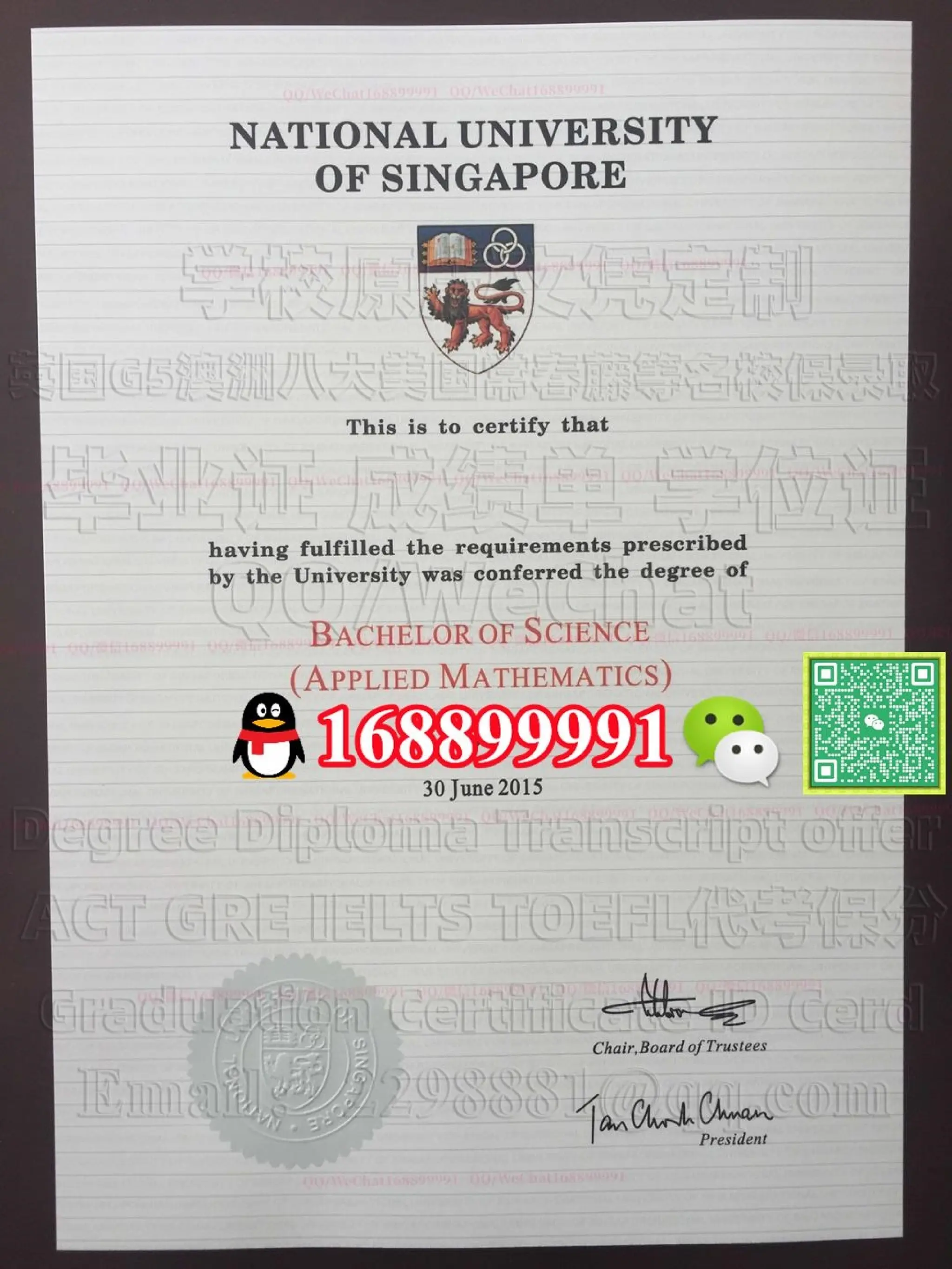 National University of Singapore Diploma Degree Transcript | PDF