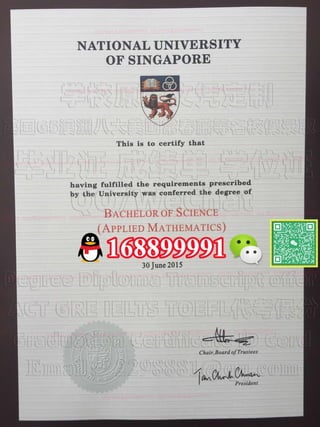 National University of Singapore Diploma Degree Transcript | PDF