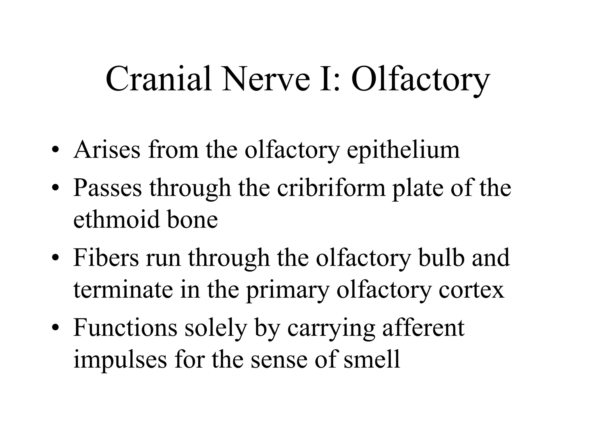 12. Cranial nerves.ppt and anatomy location | PPT