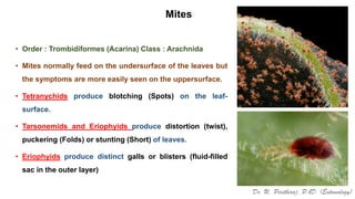 Mites,Slug,Snail_Infesting agricultural crops.pdf | Agriculture ...