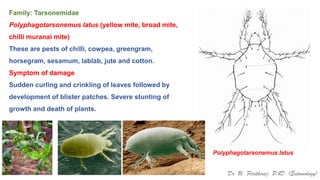 Mites,Slug,Snail_Infesting agricultural crops.pdf | Agriculture ...