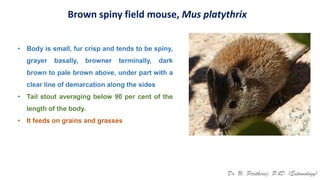 Rodents, Birds and locust_Pests of crops.pdf