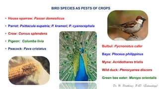 Rodents, Birds and locust_Pests of crops.pdf