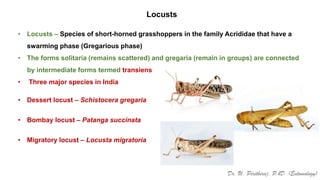 Rodents, Birds and locust_Pests of crops.pdf