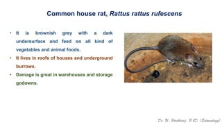 Rodents, Birds and locust_Pests of crops.pdf