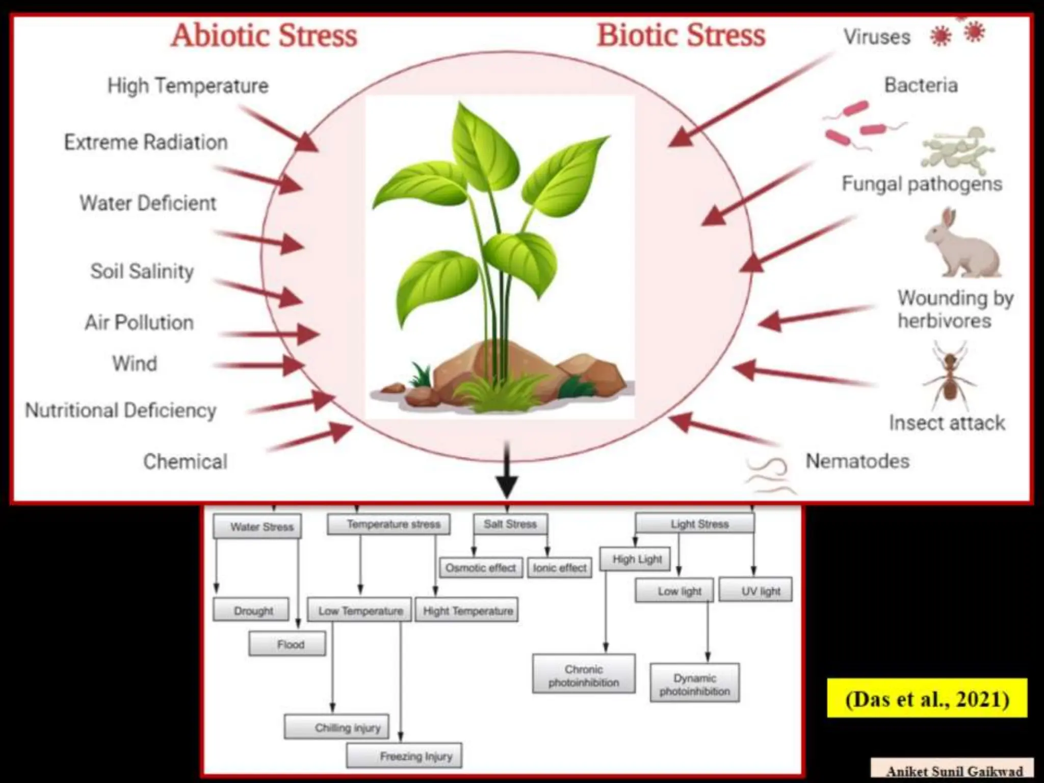 12. Soil Microbiome - Applications and Mechanisms for Abiotic Stress ...