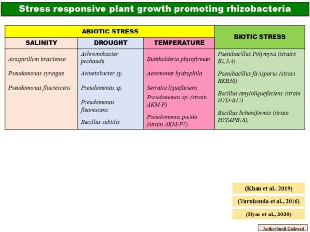 12. Soil Microbiome - Applications and Mechanisms for Abiotic Stress ...