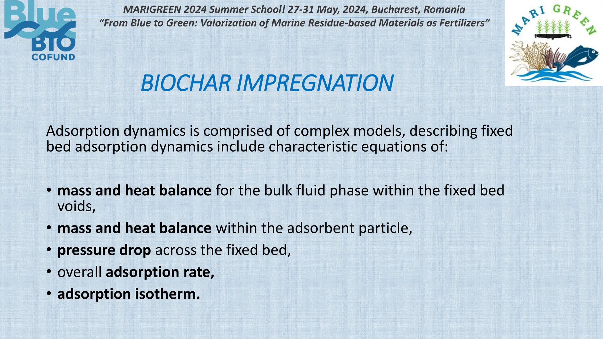 Biochar impregnation as slow release fertilizer - Violeta Alexandra Ion ...
