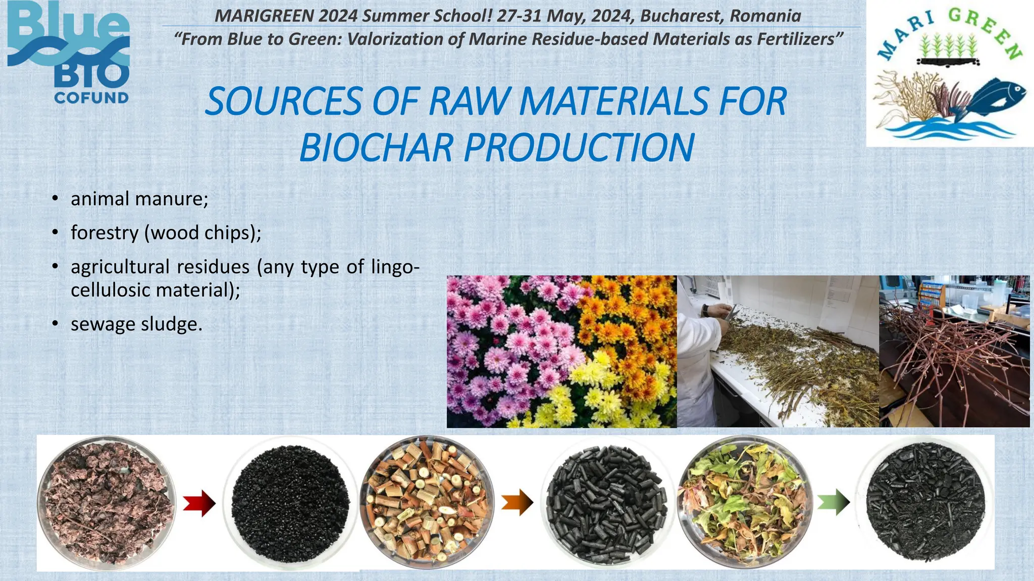 Biochar impregnation as slow release fertilizer - Violeta Alexandra Ion | PPT