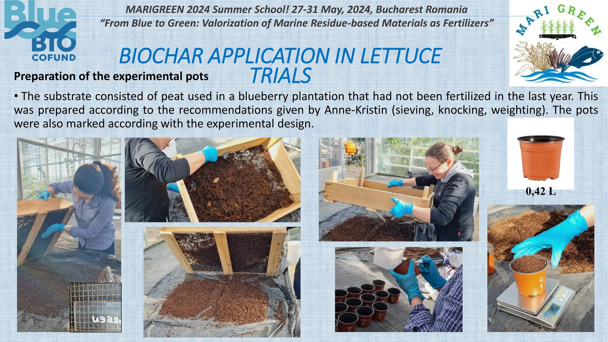 Biochar impregnation as slow release fertilizer - Violeta Alexandra Ion | PDF