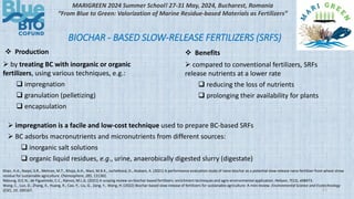 Biochar impregnation as slow release fertilizer - Violeta Alexandra Ion ...