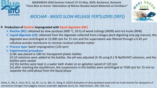 Biochar impregnation as slow release fertilizer - Violeta Alexandra Ion | PPT