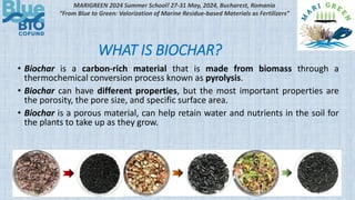Biochar impregnation as slow release fertilizer - Violeta Alexandra Ion ...