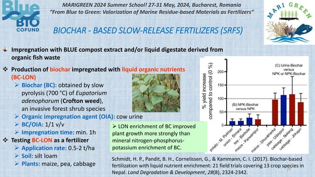 Biochar impregnation as slow release fertilizer - Violeta Alexandra Ion | PPT