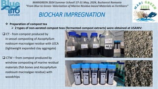 Biochar impregnation as slow release fertilizer - Violeta Alexandra Ion ...