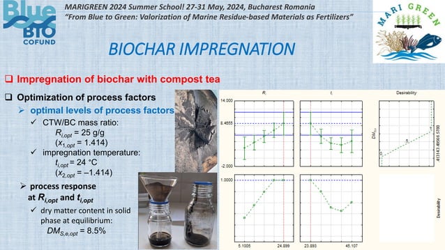 Biochar impregnation as slow release fertilizer - Violeta Alexandra Ion | PPT