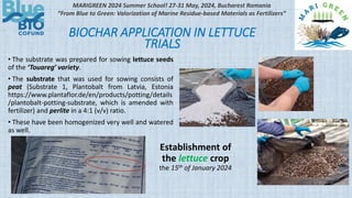 Biochar impregnation as slow release fertilizer - Violeta Alexandra Ion ...
