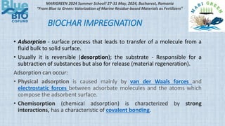 Biochar impregnation as slow release fertilizer - Violeta Alexandra Ion | PPT