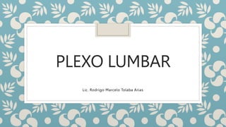 12.- PLEXO LUMBAR. ANATOMIA-KINESIOLOGIA | PPTX