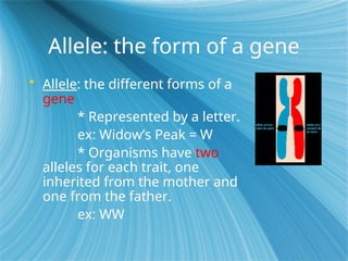 powerpoint ng subject naming Genetics.ppt | Free Download