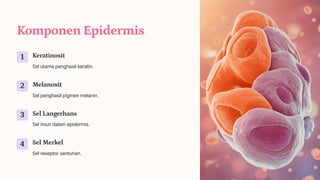 Ilmu biomedik dasar ----Sistem-Integumen | PPT