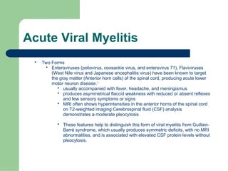 ACUTE MYELOPATHYLATERAL SSSSSPINAL LESIONS | PPT