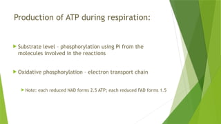 Energy-and-respiration in humans and plants.pptx
