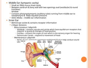 12. Special senses Ear,Eyes,Nose,Tongue & Skin | PPTX