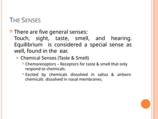 12. Special senses Ear,Eyes,Nose,Tongue & Skin | PPTX