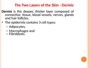 12. Special senses Ear,Eyes,Nose,Tongue & Skin | PPTX
