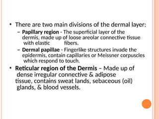 12. Special senses Ear,Eyes,Nose,Tongue & Skin | PPTX
