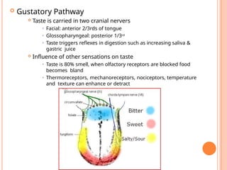 12. Special senses Ear,Eyes,Nose,Tongue & Skin | PPTX