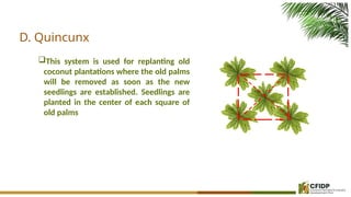 12.-Coconut-Farm-Establishment-Landprep-to-Planting-system.pptx