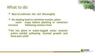 12.-Coconut-Farm-Establishment-Landprep-to-Planting-system.pptx